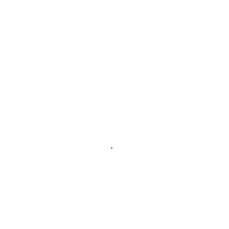 Lightspeed | Wireless | Fibre | Internet Provider - Lightspeed Wireless